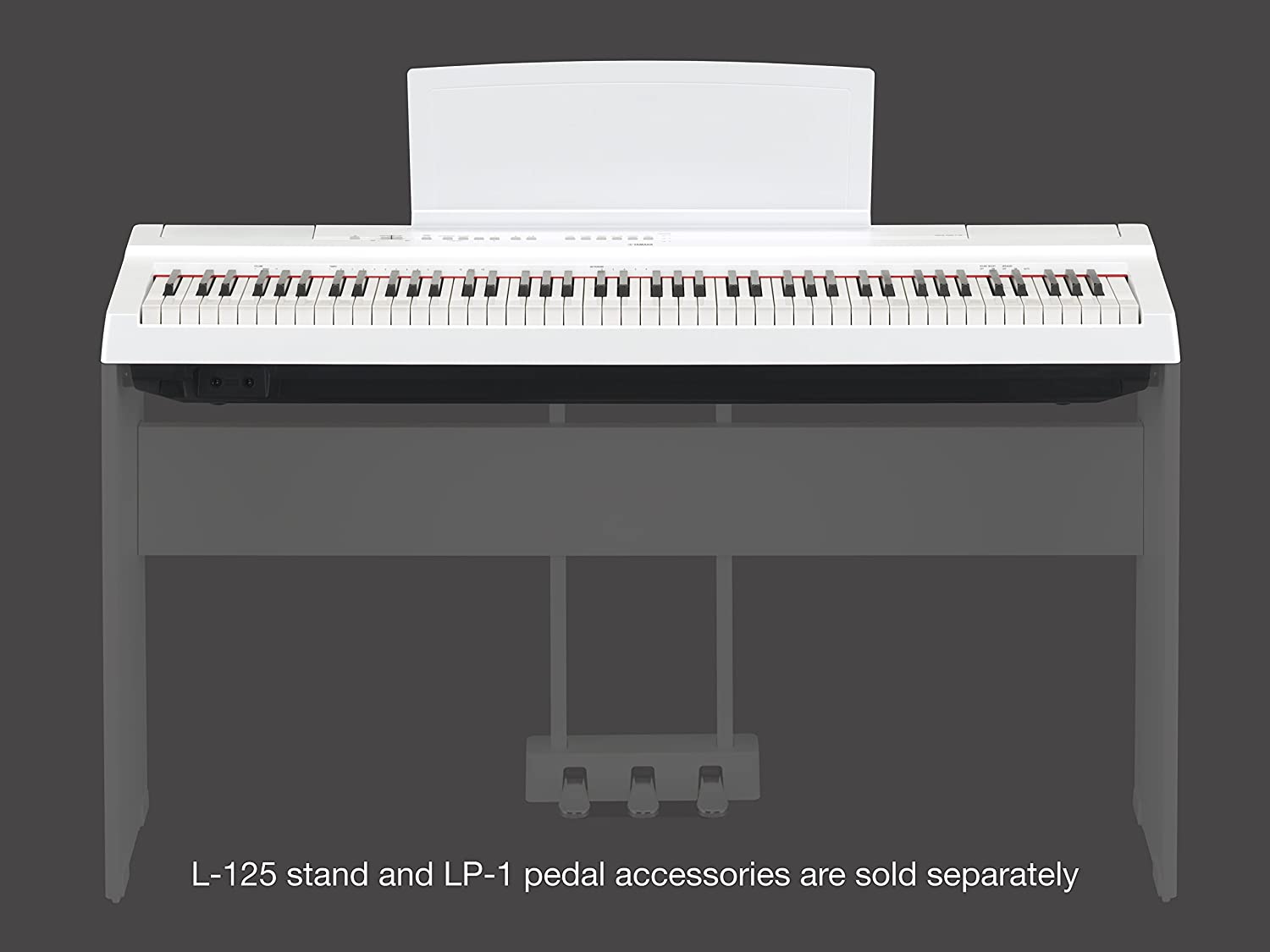 10 Best White Digital Pianos Selection (May 2021)