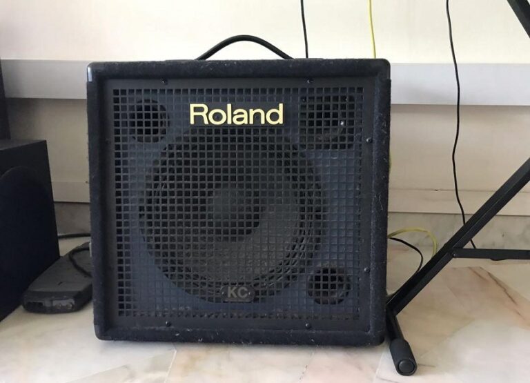 10 Best Keyboard Amps – Reviewed and Rated (Winter 2025)